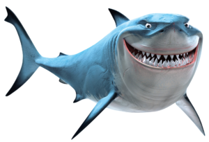 HELP! My child has shark teeth!! – Pediatric Dental Blog